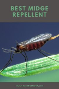 Best Midge Repellent - How I Get Rid Of