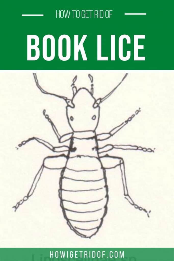 How To Get Rid Of Book Lice - How I Get Rid Of