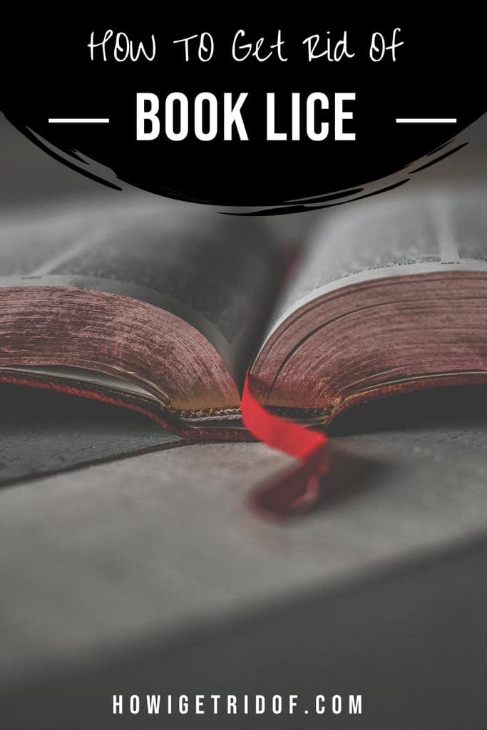 How To Get Rid Of Book Lice - How I Get Rid Of