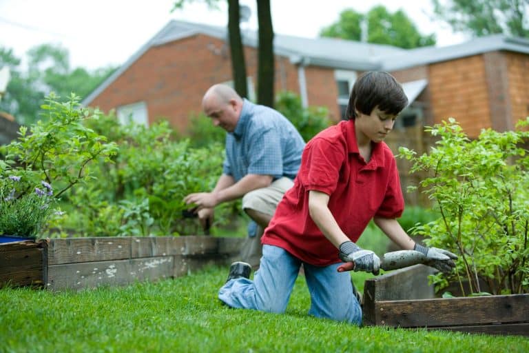 Pre Emergent - Pros, Cons, and How To Use It Most Effectively In Your ...