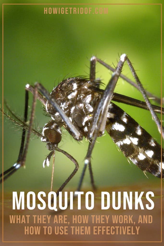 Mosquito Dunks - What They Are, How They Work, And How To Use Them ...