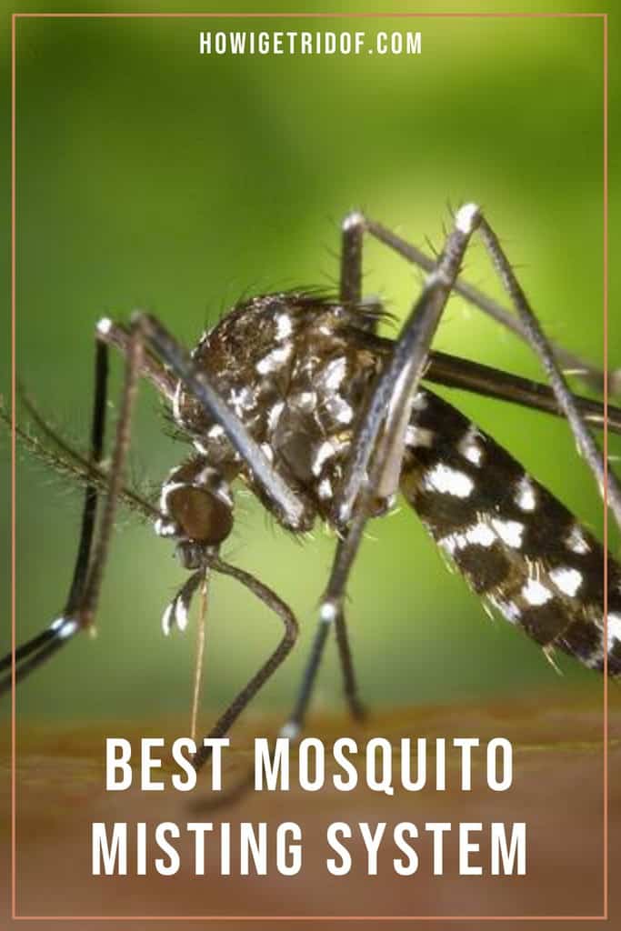 Best Mosquito Misting System - How I Get Rid Of