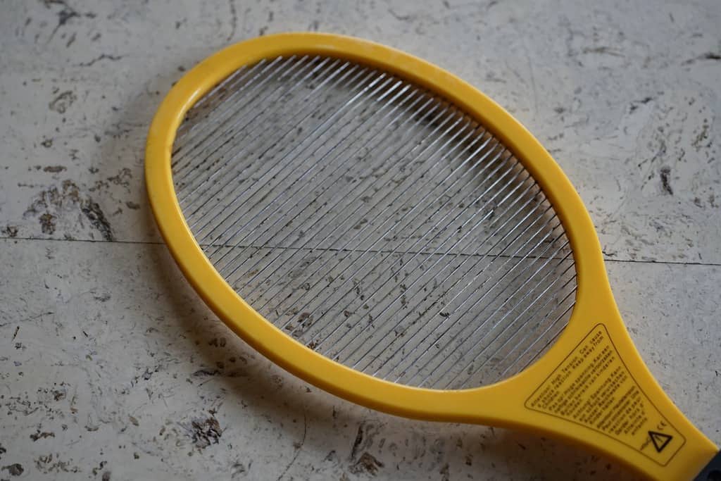 Best Fly Swatter Products For Fly Control - How I Get Rid Of