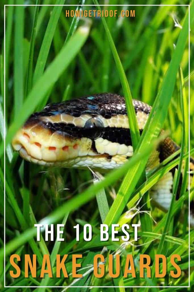 The 10 Best Snake Guards - How I Get Rid Of