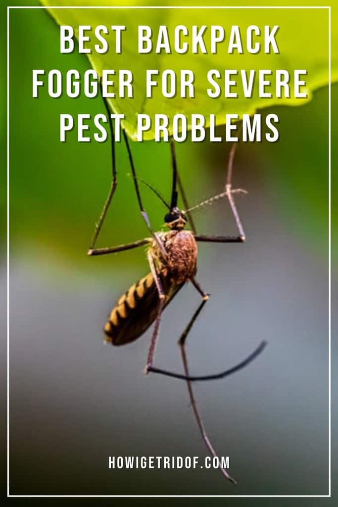 Best Backpack Fogger For Severe Pest Problems - How I Get Rid Of