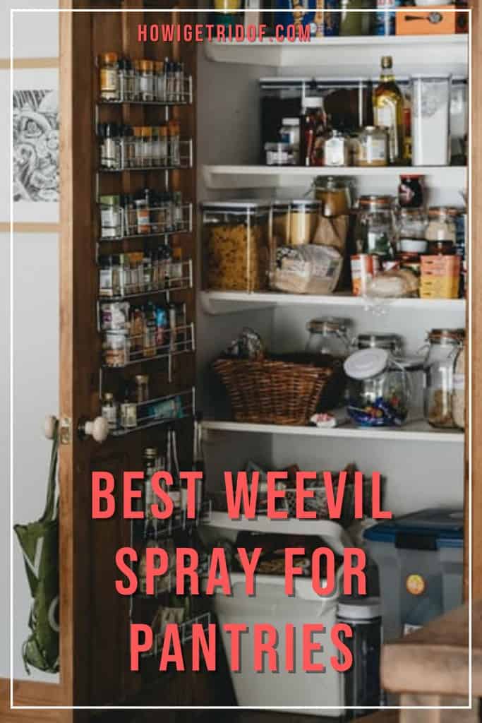 Best Weevil Spray for Pantries - How I Get Rid Of