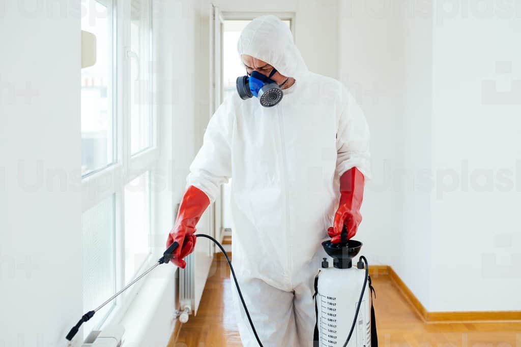 How To Get Rid Of Roaches Overnight - Foolproof Way That WORKS - How I ...