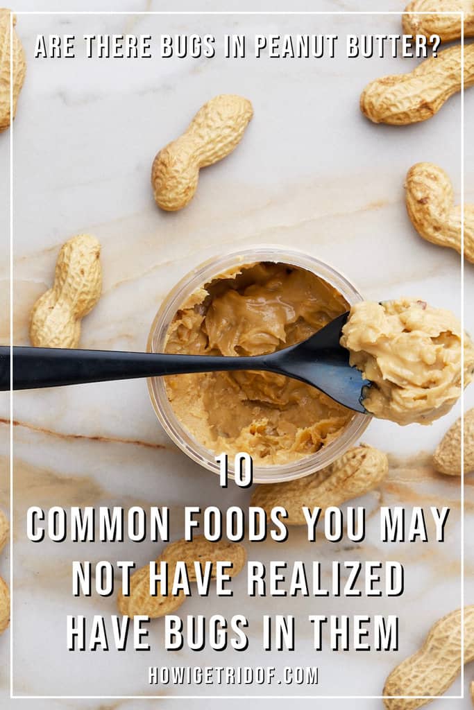 Are There Bugs In Peanut Butter - 10 Common Foods That May Have Bugs In ...